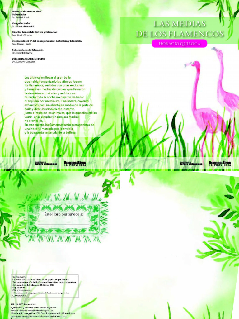 Las Medias de Los Flamencos Tapa | PDF