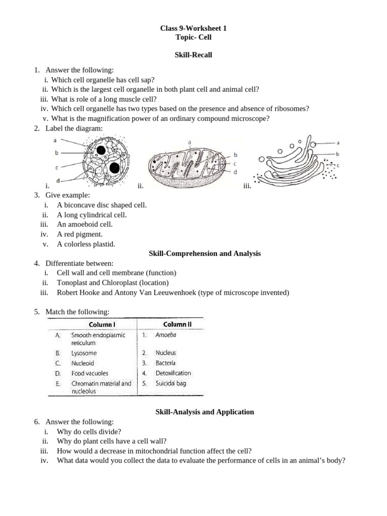 Class 9 Worksheet 1 | PDF