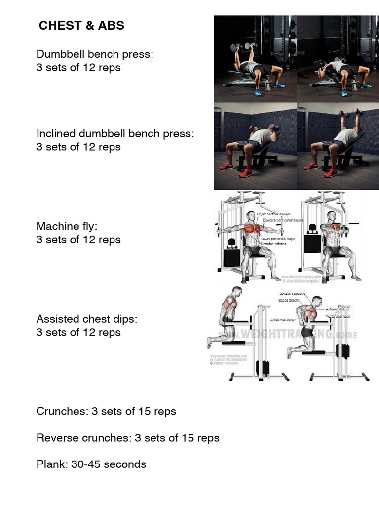 V Shred Workout Plan Overview | PDF