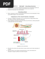 Adaptations of the Small Intestine for Absorption | PDF