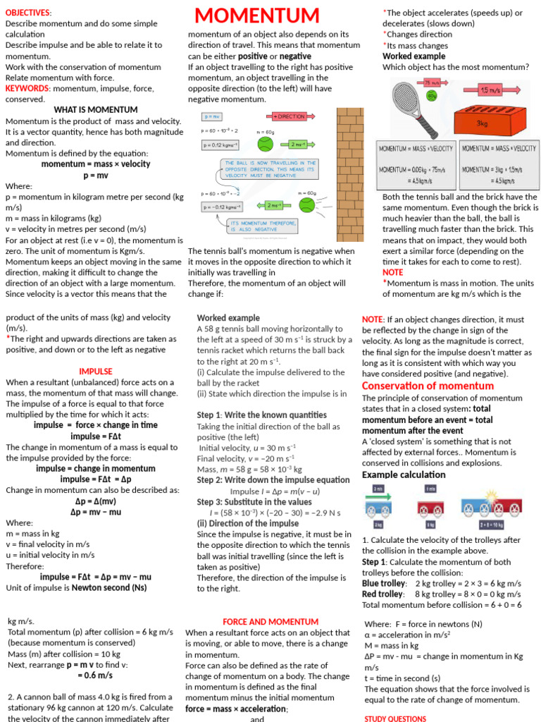 Understanding Momentum and Impulse | PDF | Momentum | Force