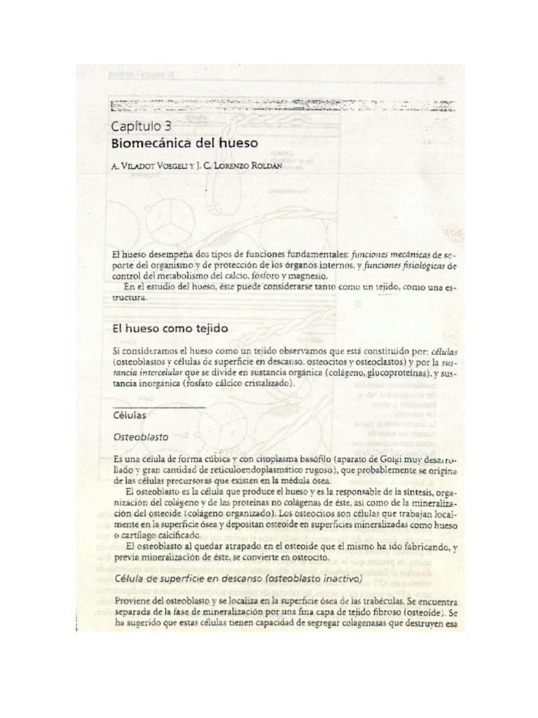 Unidad 4 Viladot cap 3 (1) | PDF