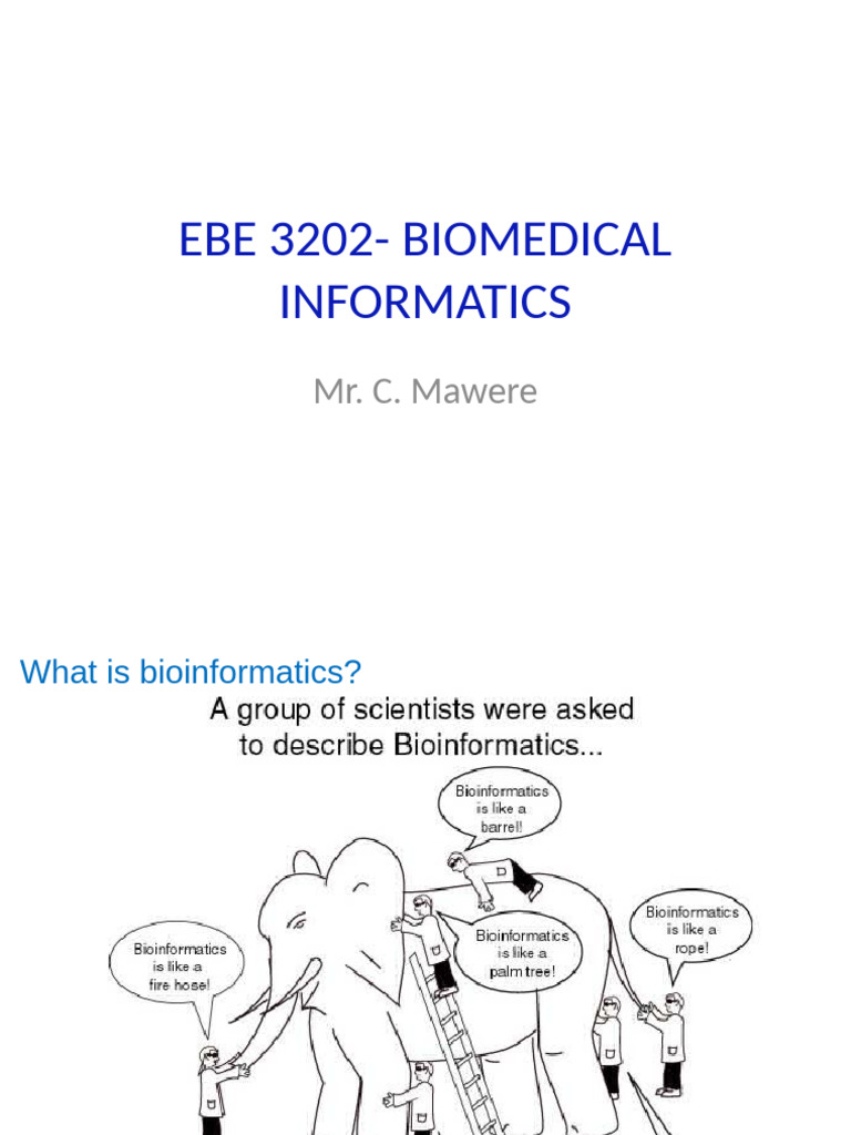 Bioinformatics Lecture 1 | PDF | Bioinformatics | Databases