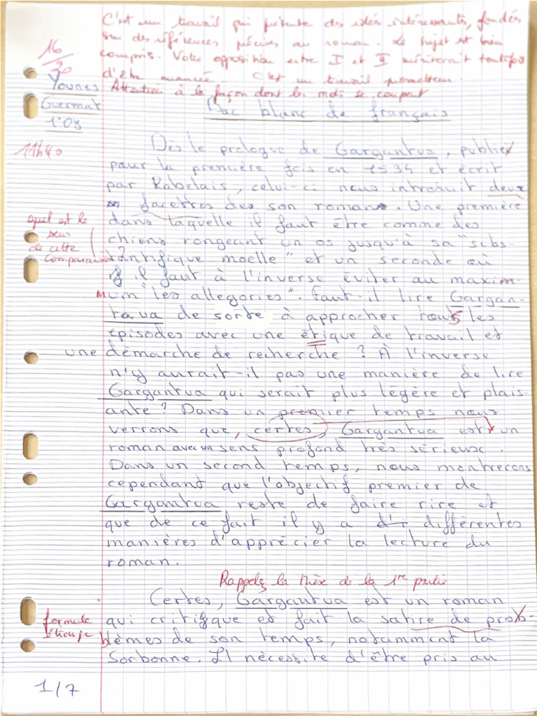 Dissertation Bac Blanc Younes | PDF