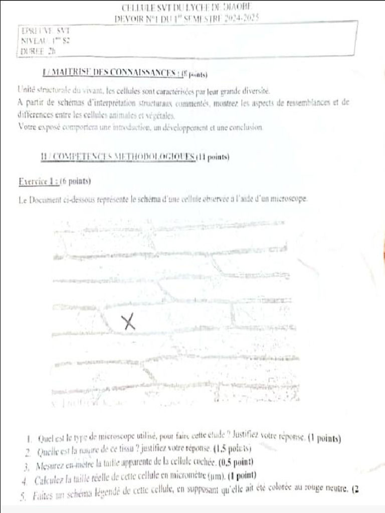 1er Devoir SVT_PDF_1732044107849 | PDF