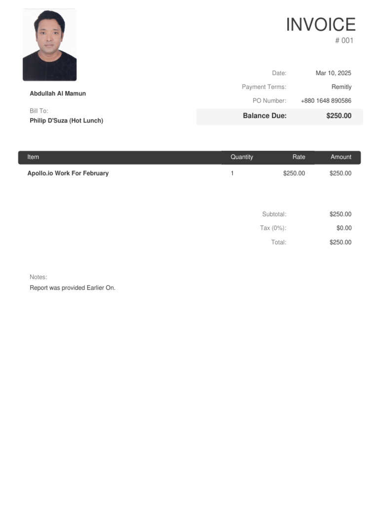 Invoice for Apollo.io Work - March 2025 | PDF