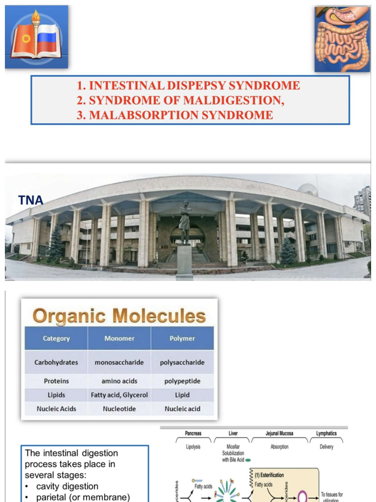 Intestinal Dyspepsia, Malabsorption, Maldigestion | PDF