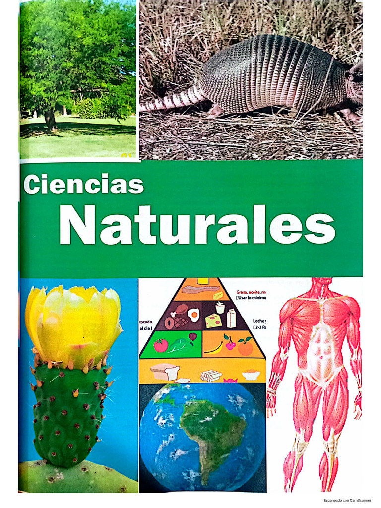 DOC-20250328-WA0807. Naturales | PDF