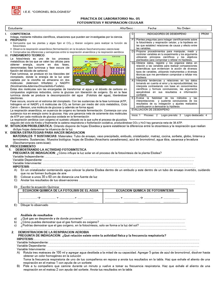 PRAC LAB No 06 FOTOSINTESIS Y RESPIRACION CELULAR 4TO 2023 Final | PDF ...