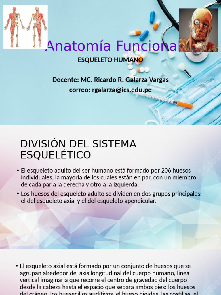 Esqueleto Humano | PDF