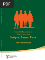 Sepedi Grade 2 Term 2 Lesson Plan | PDF | Phonics | Psycholinguistics
