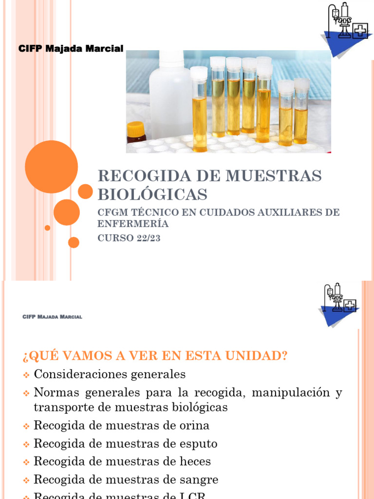 Resumen Profe Tema 5 HII | PDF | Heces | Orina