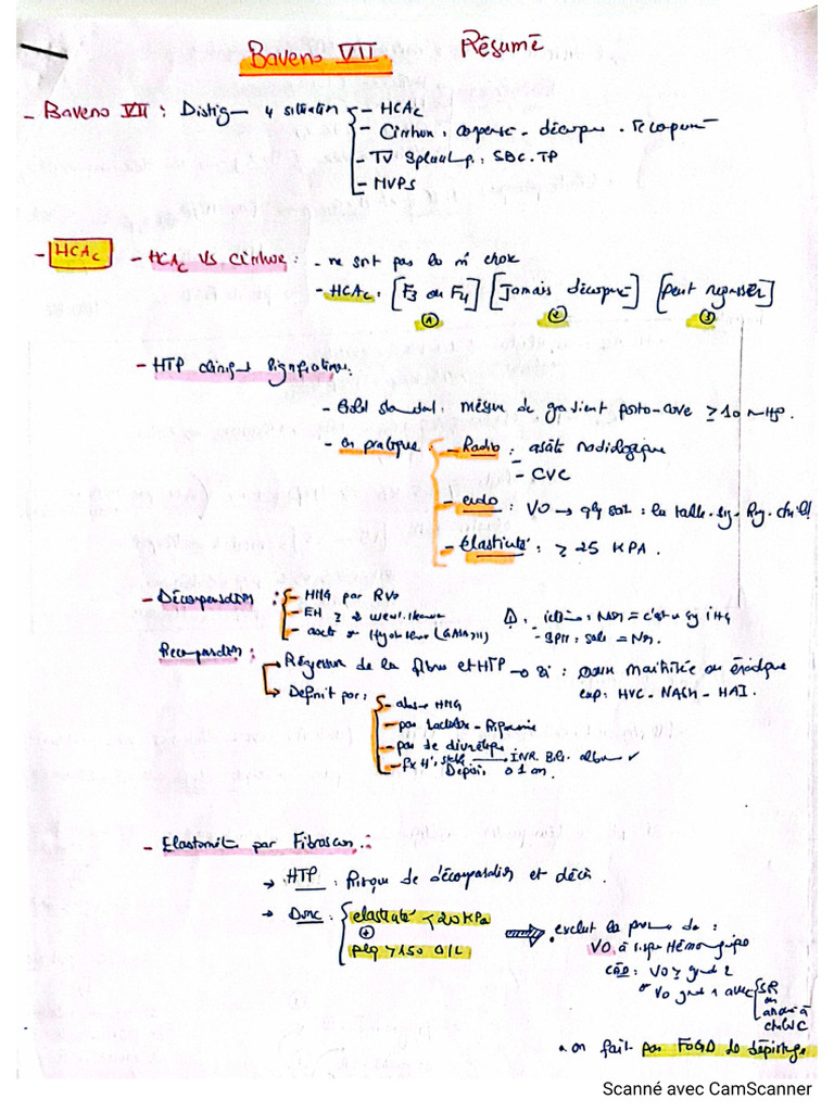 baveno 7 kitous | PDF