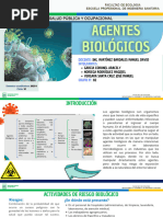 Desastres Biológicos: Tipos e Impactos | PDF | Patógeno | Infección