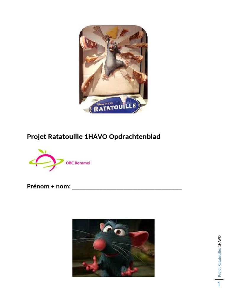 1HAVO 1VWO Projet Ratatouille Opdrachtenblad | PDF