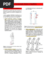Praticando Fisio Tipos de Marchas Patológicas | PDF | Fisioterapia ...