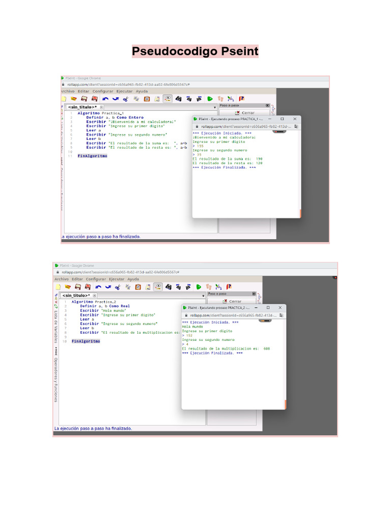 Pseudocodigo Pseint | PDF