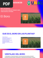 Ultrasol® Micro Boro: Ficha Técnica | PDF