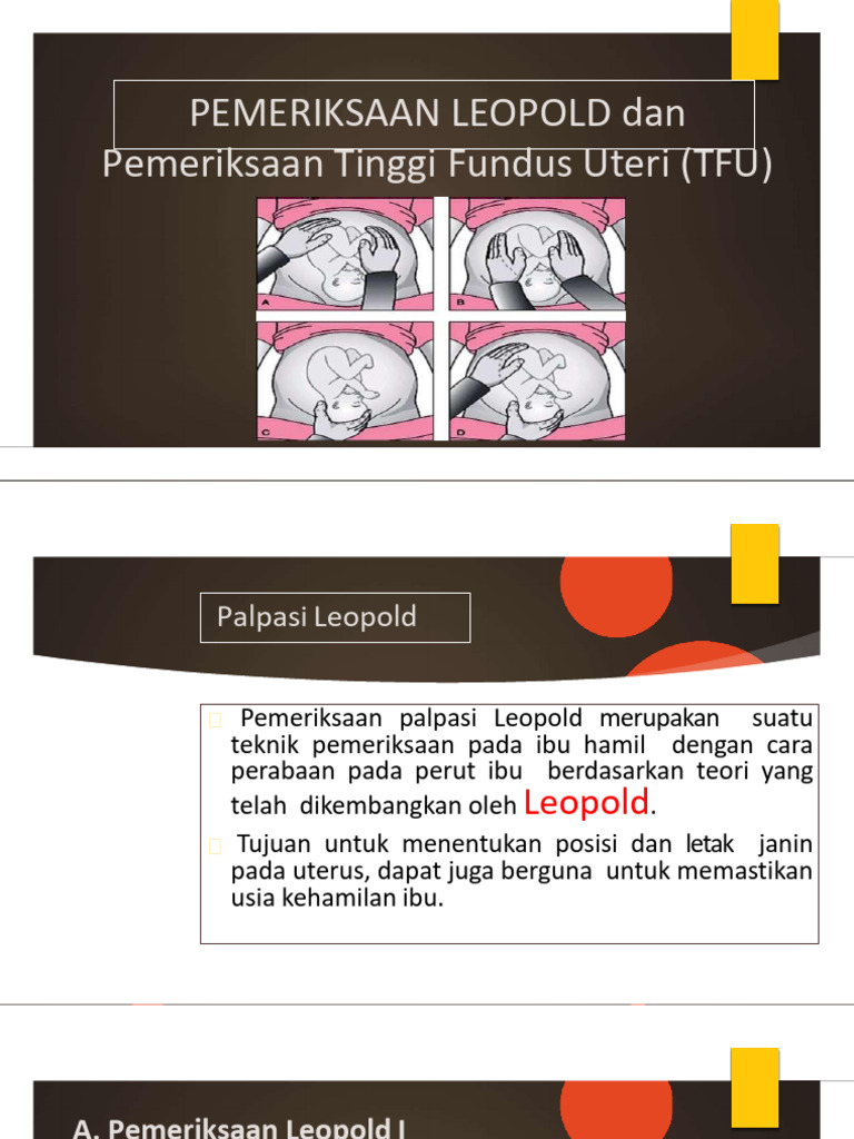 4.a. Palpasi Abdomen | PDF