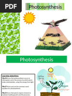 Adaptations of The Leaf For Photosynthesis and Gaseous Exchange | PDF ...