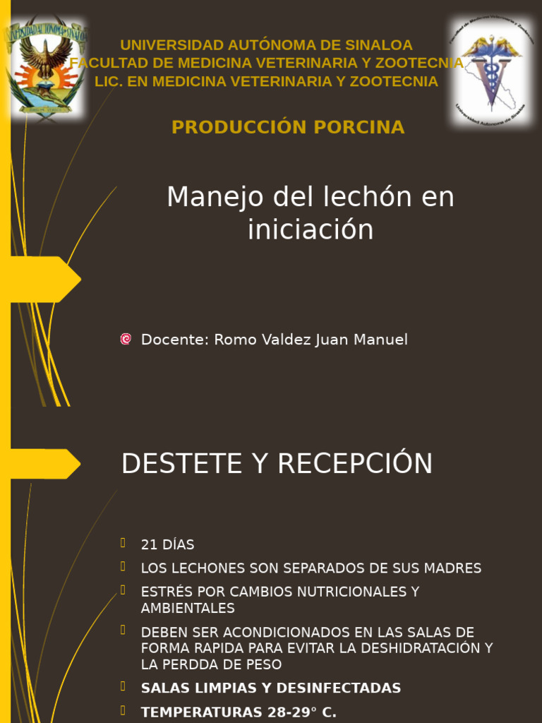 Manejo Del Lechón en Iniciación-Jmrv2020 | PDF | Destete | Diarrea