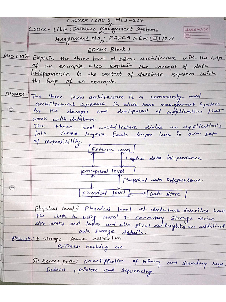 Assignment 207 | PDF