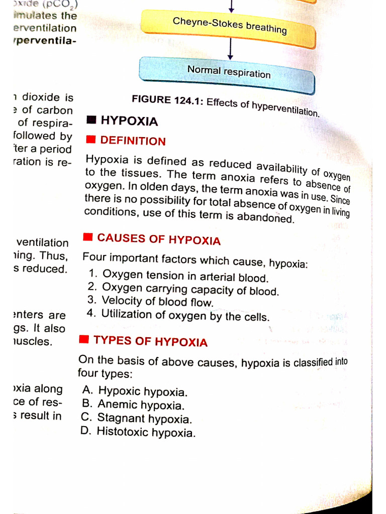 Understanding Hypoxia: Types and Effects | PDF | Breathing ...