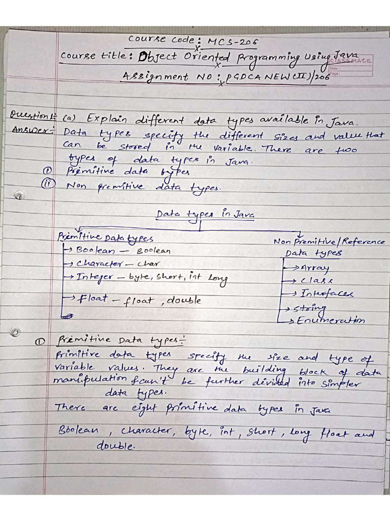 Assignment Mcs - 206 | PDF