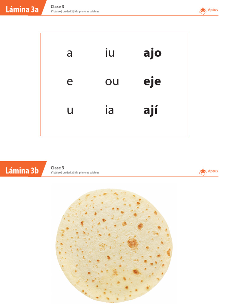 2025 1 basico Lenguaje y Comunicacion Modulo 2 Clase 3 Laminas | PDF