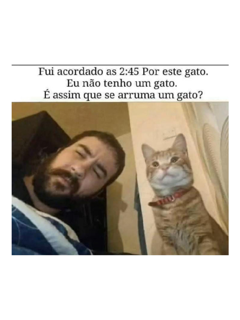 Image_to_PDF_20250413_072313 | PDF