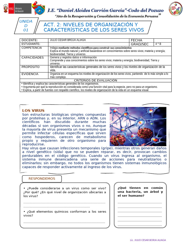 A 4º ACT 2-CYT-U1 NIVELES DE ORGANIZACIÓN[1] | PDF | Organismos | Vida