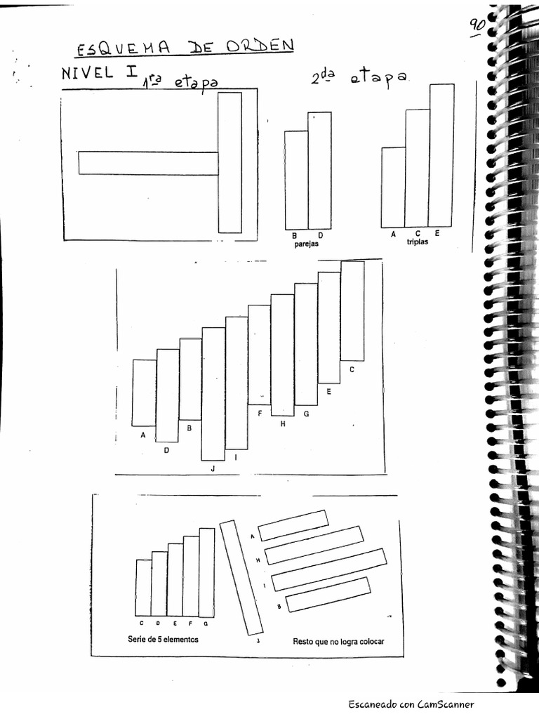 Esquema de Orden - Etapas | PDF