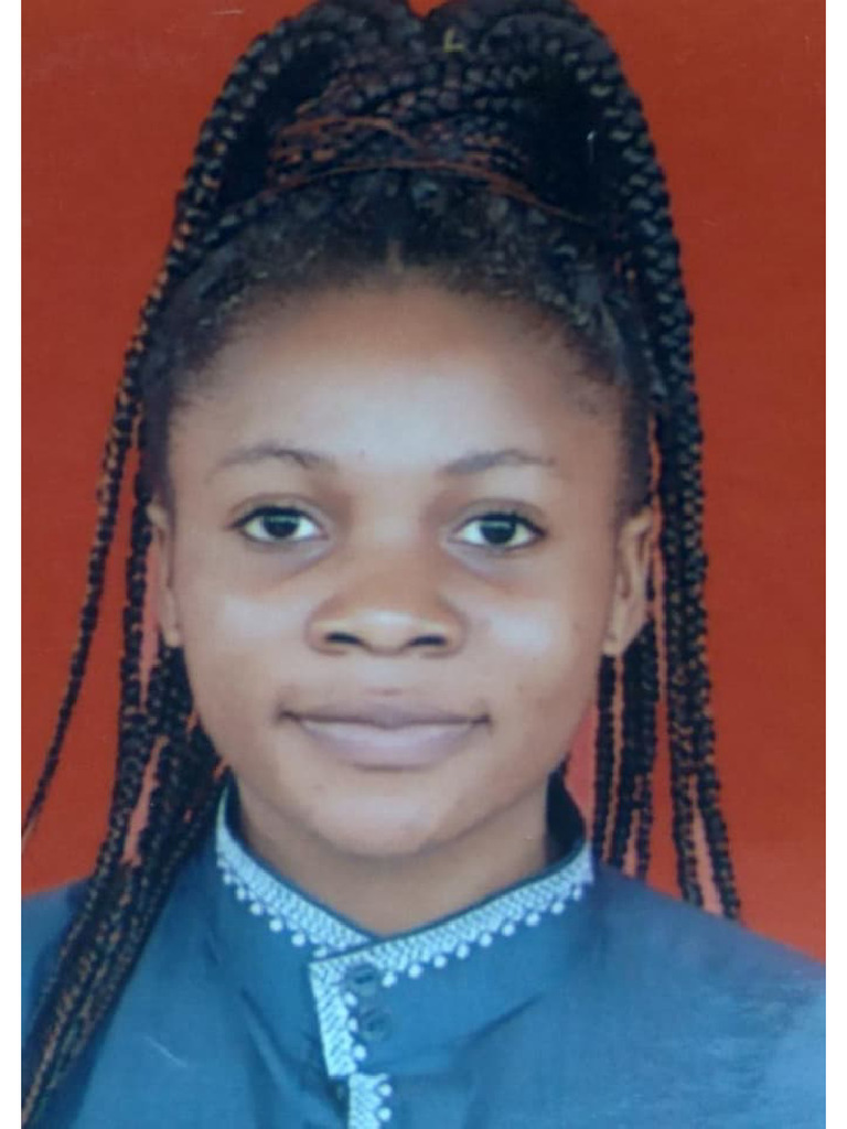 Atolagbe Eniola Passport | PDF