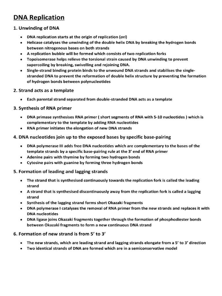 Dna Replication | PDF