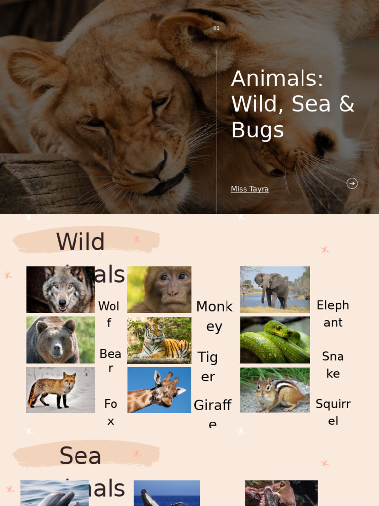 Animals - Wild, Sea & Bugs | PDF