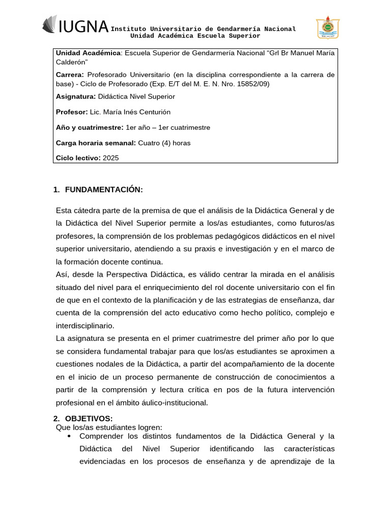 Programa Didactica 2025 | PDF | Maestros | Enseñando