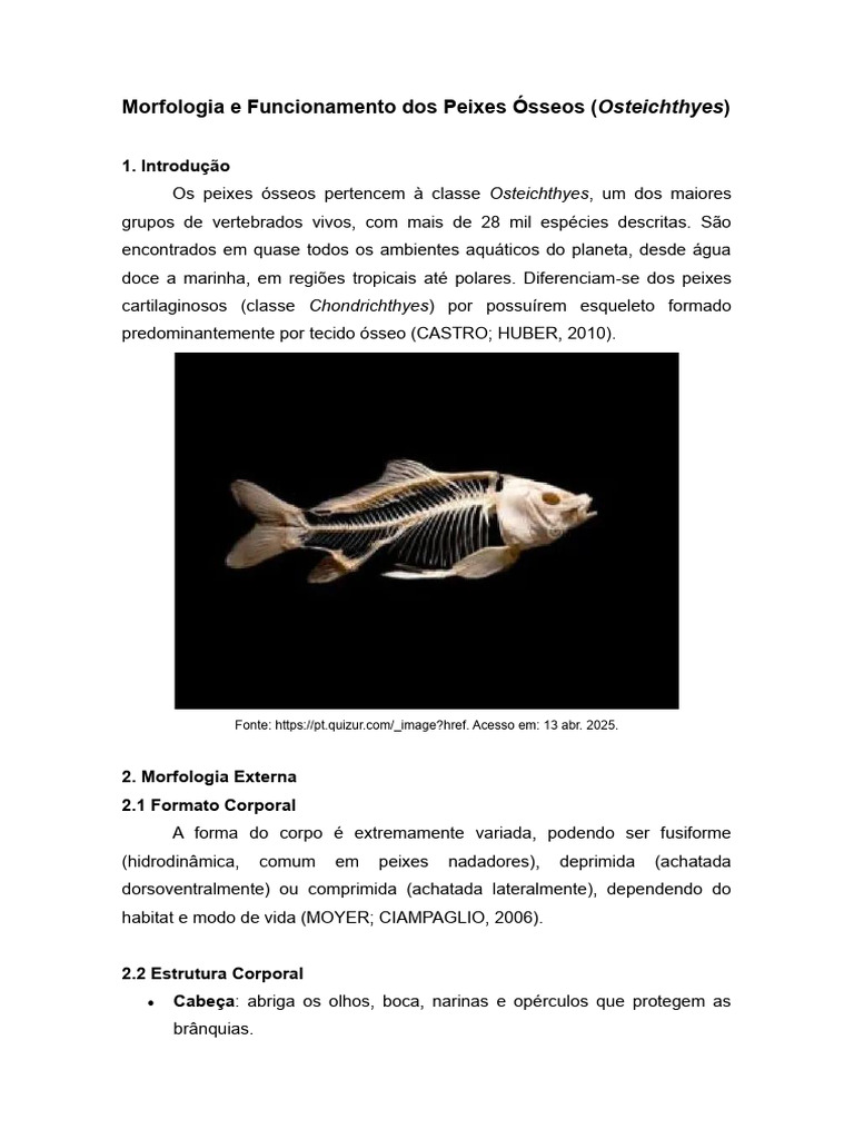 Morfologia dos Peixes Ósseos: Estruturas e Funções | PDF | Peixes ...