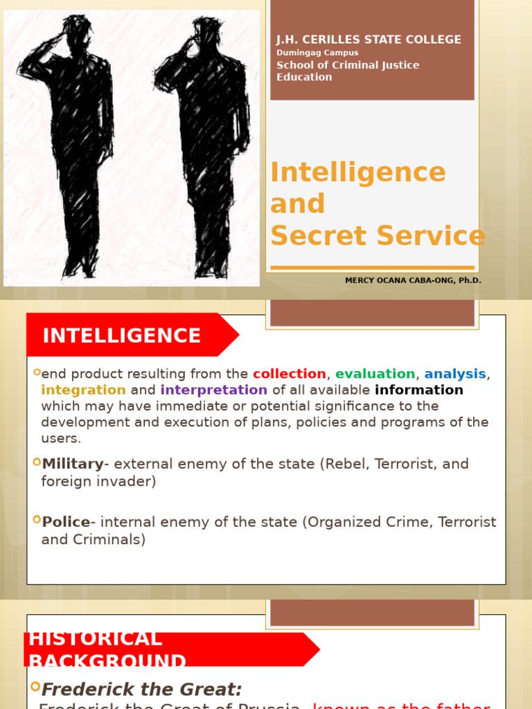 Overview of Intelligence in Law Enforcement | PDF | Classified ...