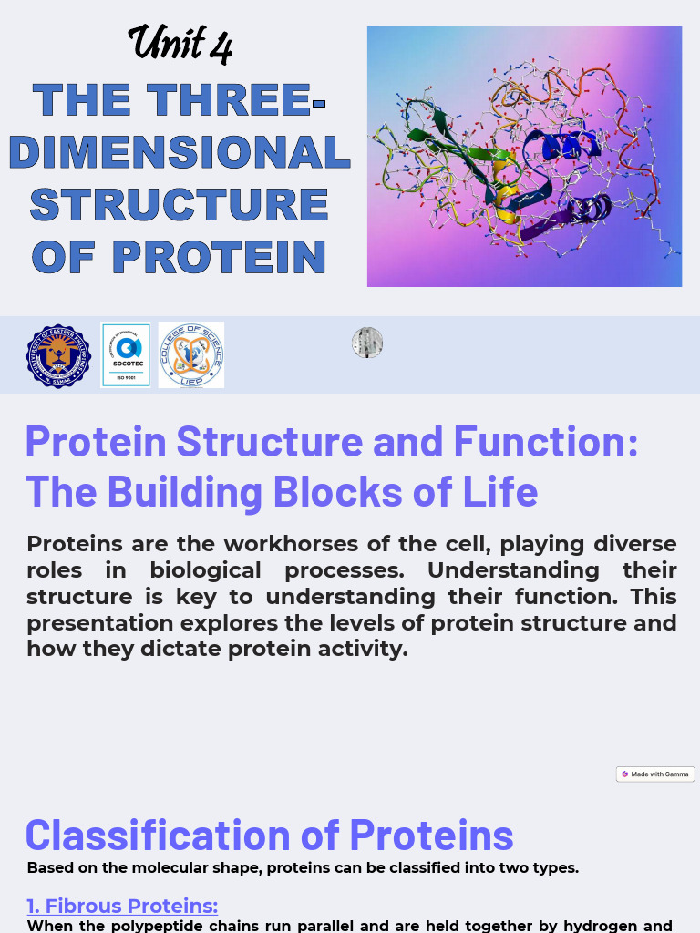 Biochem Chapter 4 Structures of Protein | PDF | Protein Structure | Beta Sheet