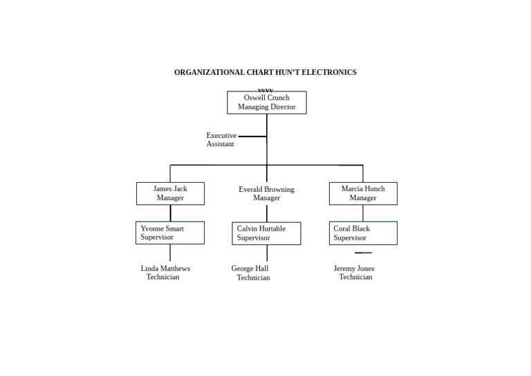Hun's Electronics (Organizational Chart 2007) | PDF