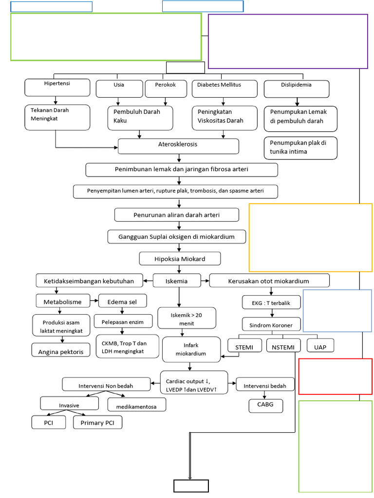 Woc Ska Nstemi Iccu (Ferdi Ramadhani) | PDF