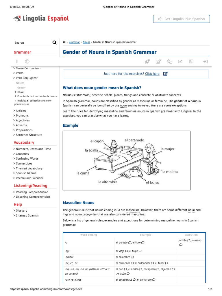 Spanish Noun Gender Explained | PDF | Noun | Grammatical Gender