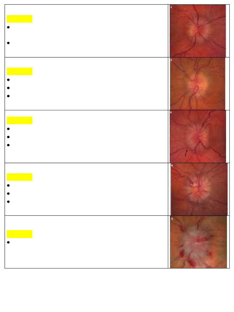 fundus examination (1) | PDF
