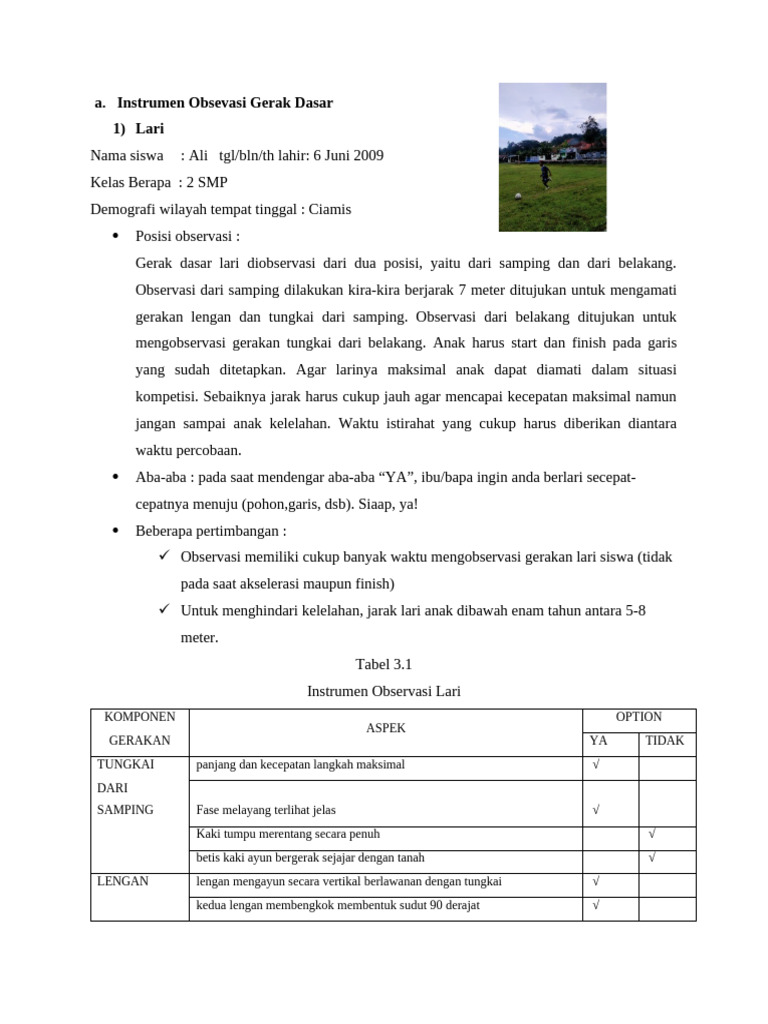 Hasil Data Motorik ALI DAN DIKA | PDF