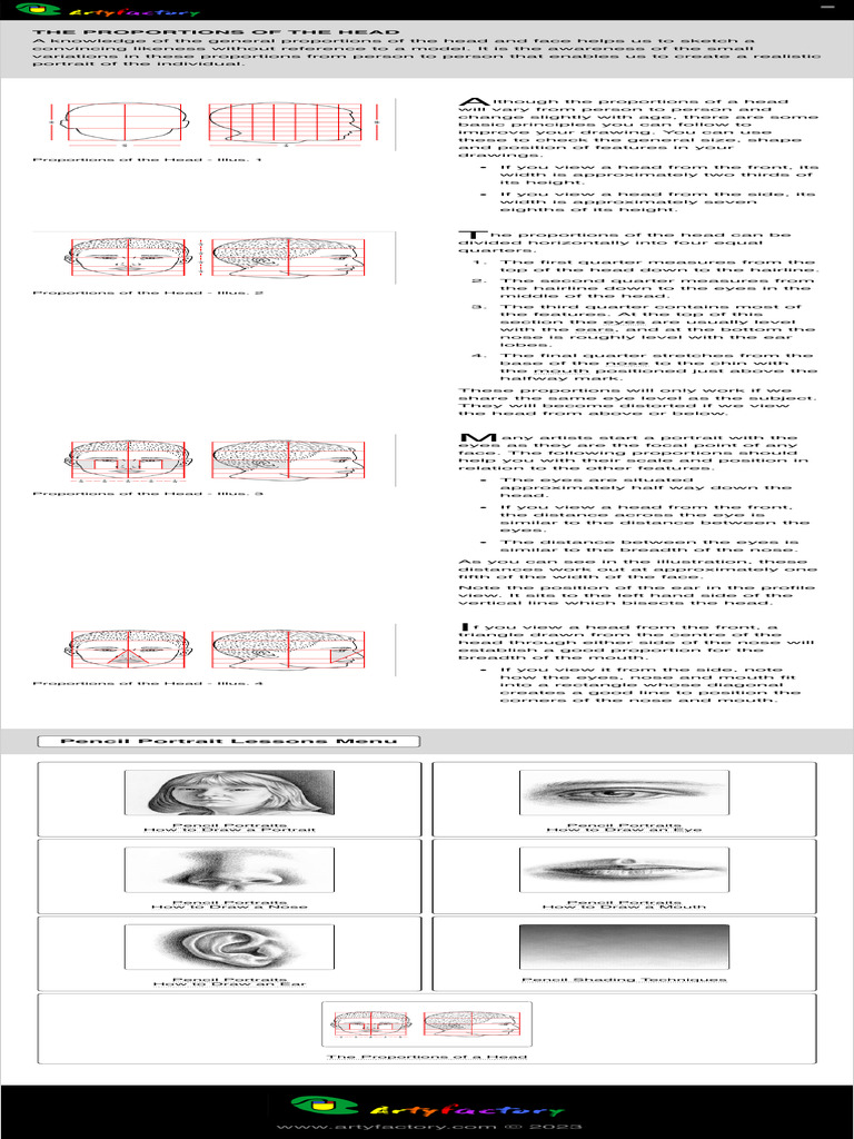 The Proportions of The Head | PDF | Length