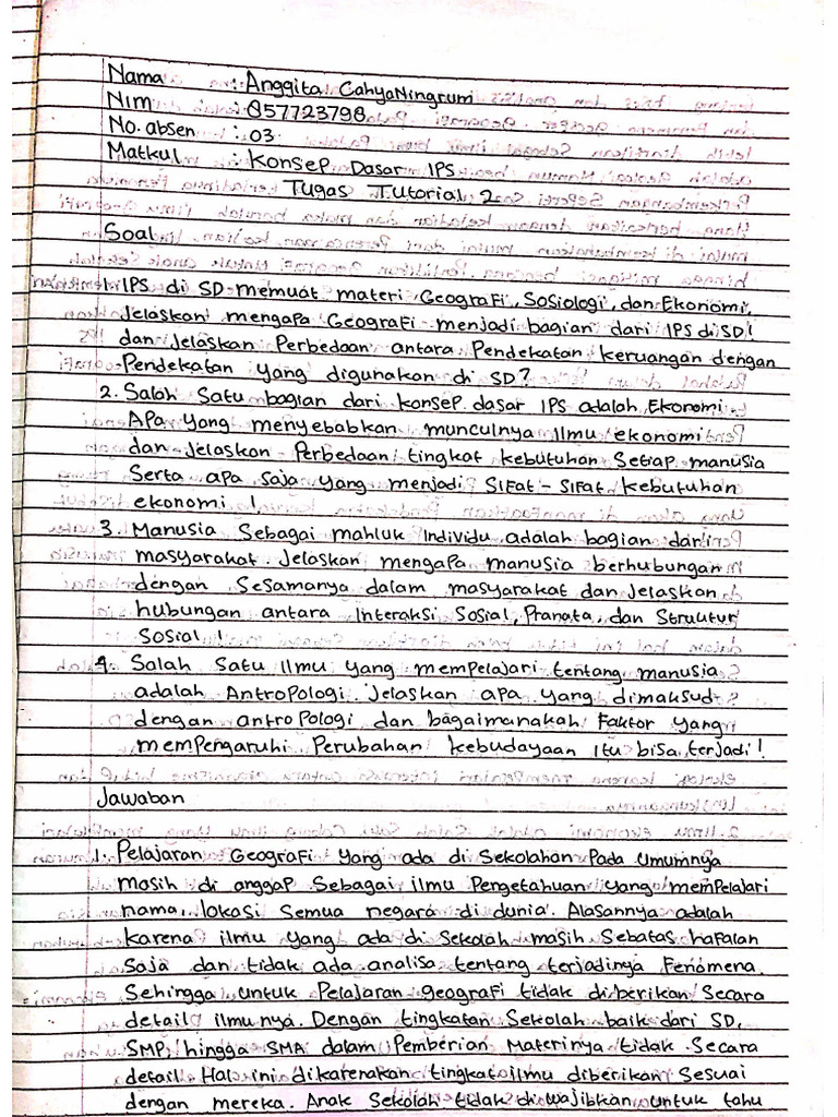 Tt 2 Konsep dasar IPS | PDF