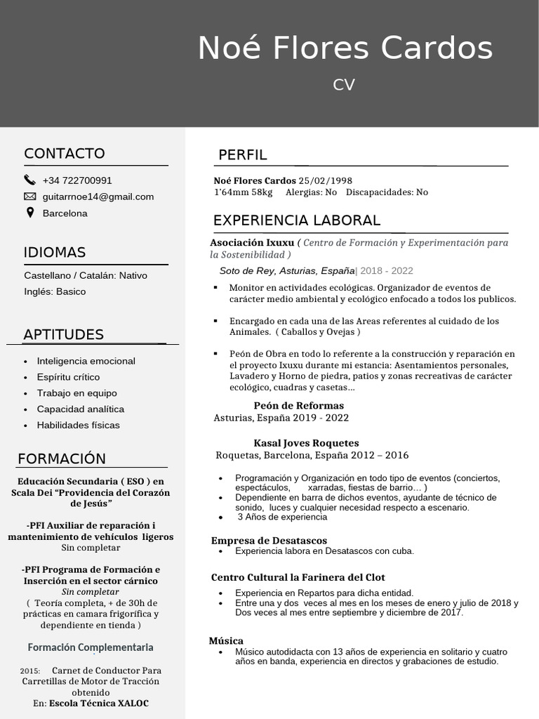 Curriculum Noé | PDF