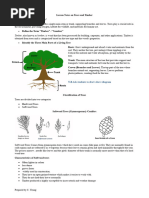 Tree Classification: Endogenous vs Exogenous | PDF