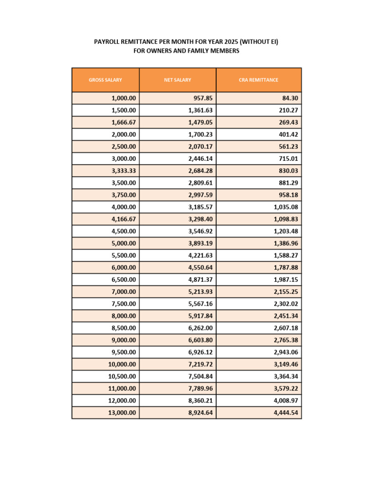 Payroll 2025 - For Owners | PDF