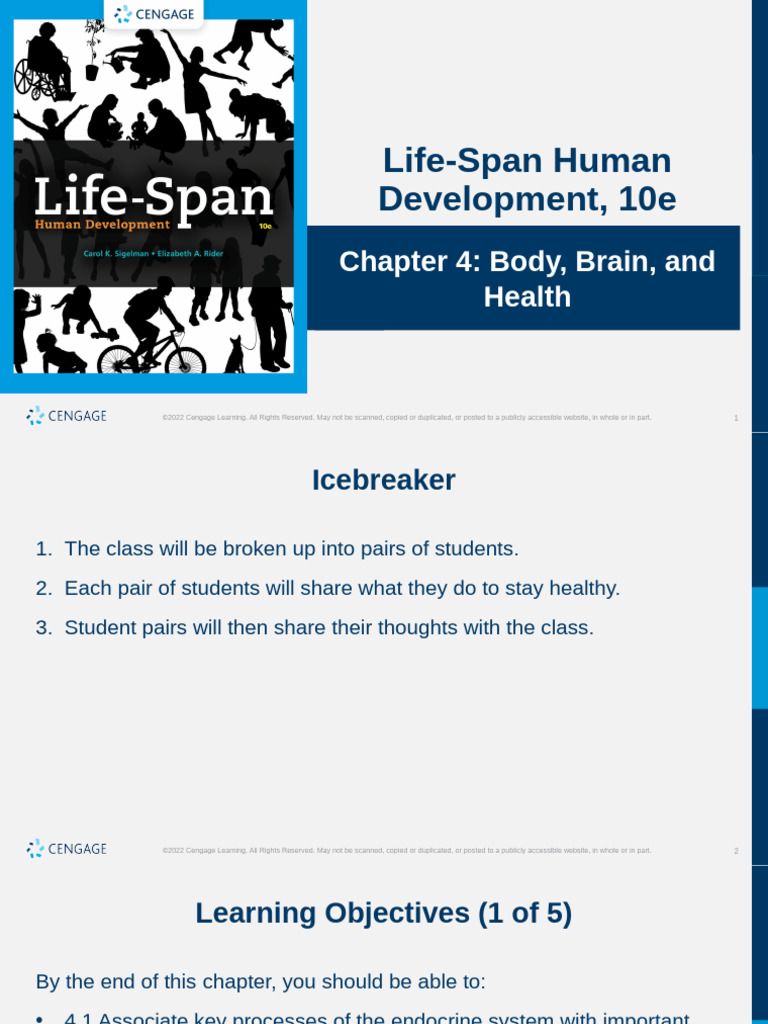 Chapter 4 PowerPoint | PDF | Adolescence | Estrogen